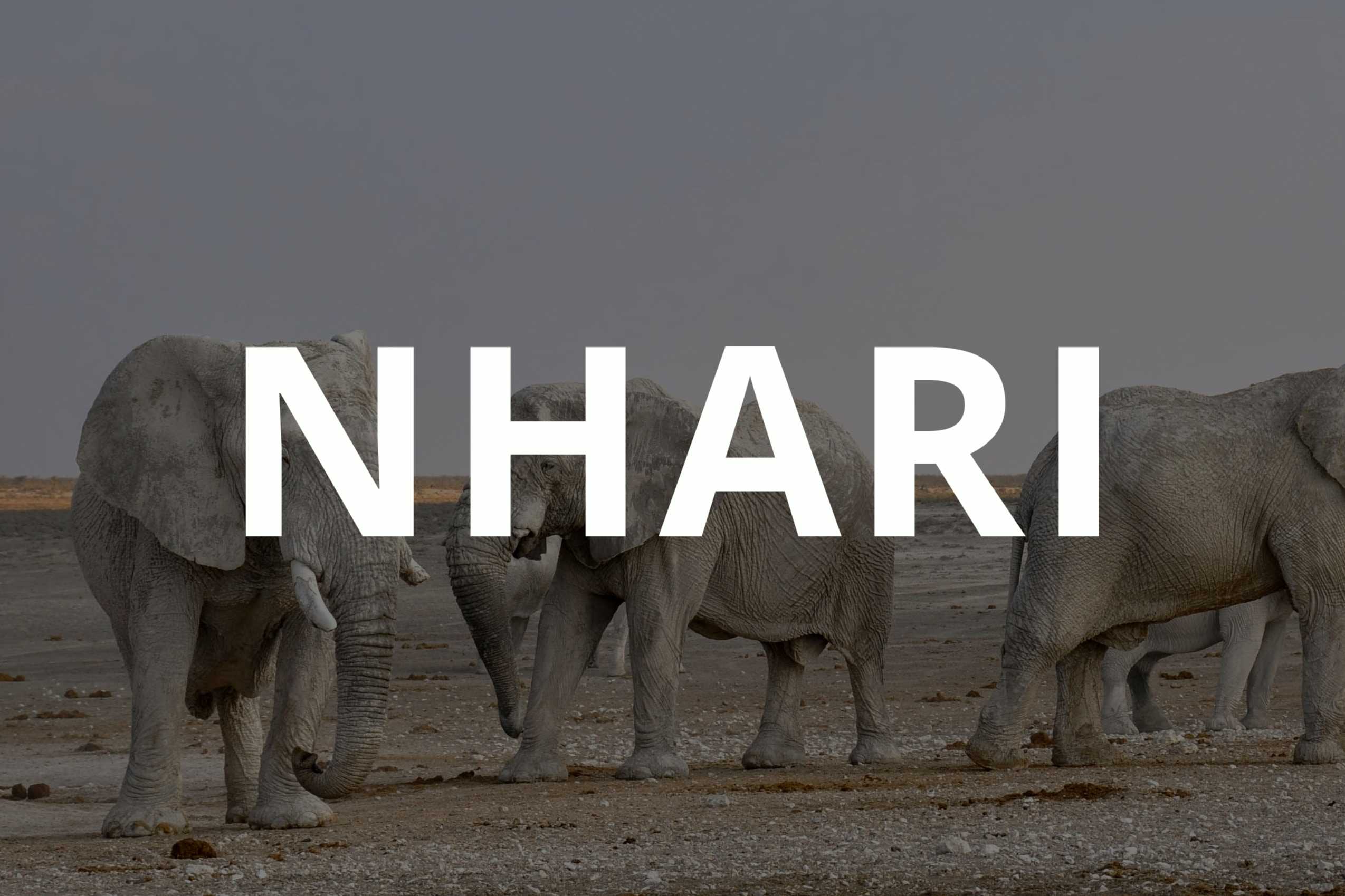 Our Solutions - Nhari Consulting & Capital